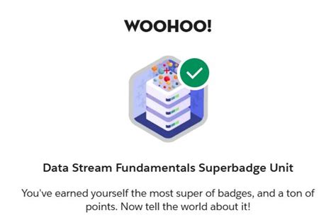 Yasmine Hafiene On Linkedin Salesforce Datacloud Superbadges