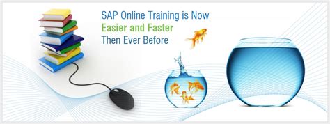 SAP SAP Online Classes