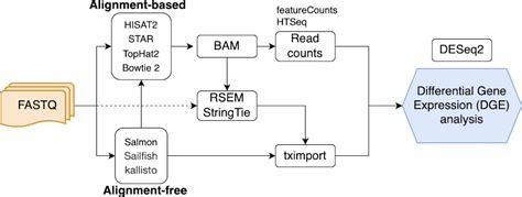 Differential Gene Expression Analysis Using Deseq2 Comprehensive