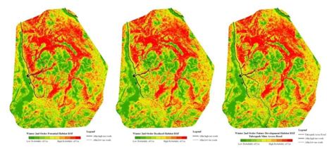 Second Order Winter Resource Selection Function Maps Of The Potential Download Scientific