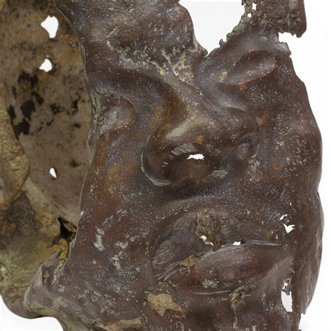 les rescapés n°30003 2019 freddy tsimba angalia gallery