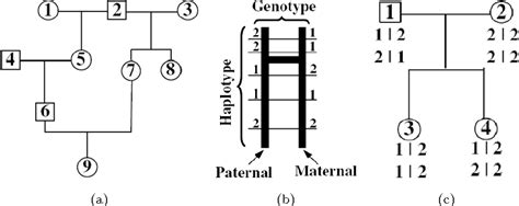 Figure 1 From An Almost Linear Time Algorithm For A General Haplotype