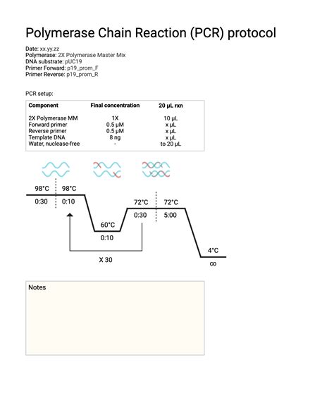 Polymerase Chain Reaction PCR Protocol BioRender Science Templates