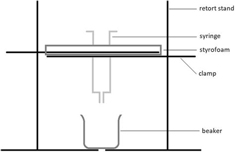 Set Up For Syringe Flow Testing Download Scientific Diagram