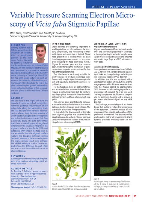Pdf Variable Pressure Scanning Electron Microscopy Of Vicia Faba