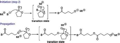 Ring Opening Polymerization Matse 202 Introduction To Polymer Materials