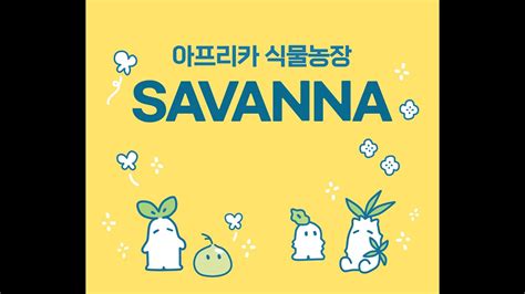 식물 상담소 독특하고 귀여운 겨울 아프리카 식물 Youtube