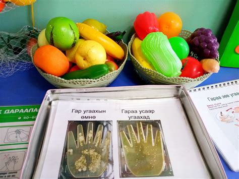 эрүүл хооллолт шим тэжээлийн хичээлийн нэг сарын аян‬ Explore