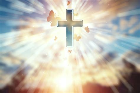 기독교 기도 가톨릭 십자가의 상징의 배경에 클로즈업 손 나비의 무리는 파리 기독교 종교 희망의 개념 신앙 종교 자유의 상징 개념에 대한 스톡 사진 및 기타 이미지 Istock