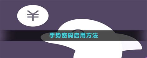 How To Enable Gesture Password In Dolphin Accounting How To Enable