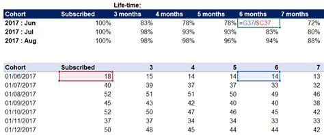 Cohort Analysis Explained With An Excel Example Magnimetrics