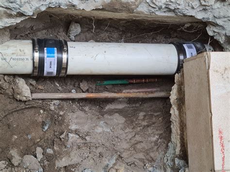 Tree Root Removal Hydro Life Plumbing