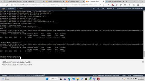 creating website stuck on starting creation aws ec2 support and
