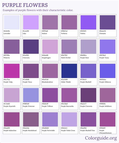 320 Things That Are Purple