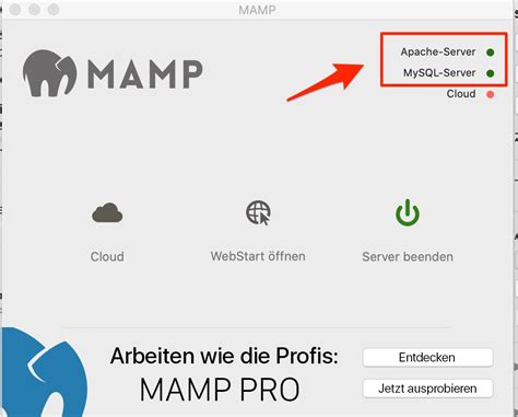 Xampp Erstelle Deine Website Auf Deinem Rechner