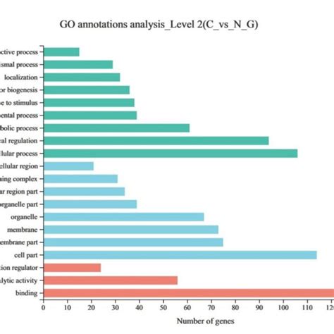 Figure E The Upregulated Items In The Go Gene Ontology Database At