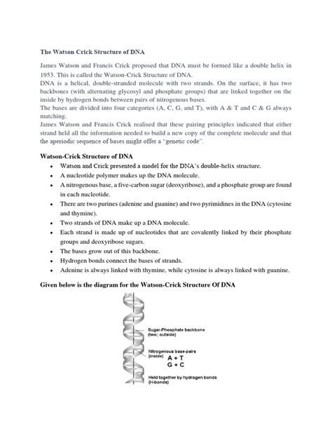 Lecture 1 Pdf Dna Base Pair
