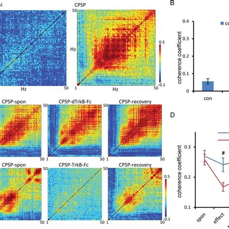 Coherence Coefficients Of Local Field Potentials Were Enhanced In Download Scientific Diagram