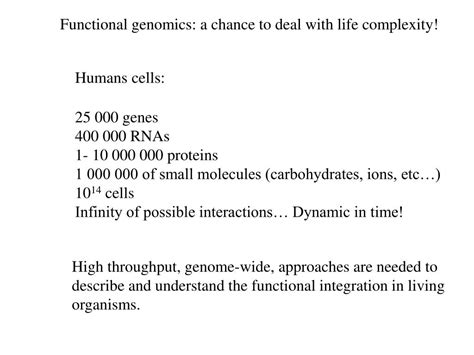 Ppt Dna Microarrays And Functional Genomics Powerpoint Presentation
