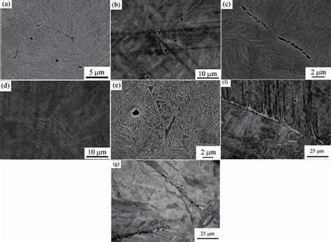 A G Sem Images And Optical Micrographs Showing Onset Of Grain