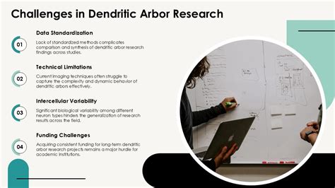Challenges In Dendritic Arbor Research Dendrodendritic Synapses Ppt Designs Acp Ppt Template