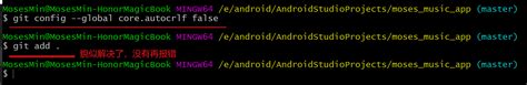 028 you are about to commit crlf line separators to the git repository