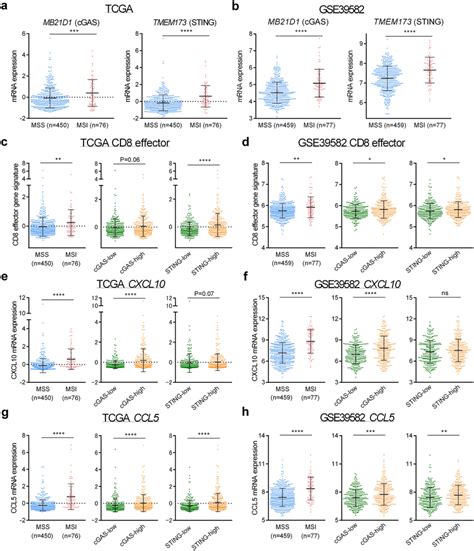 MSI CRC Has A Higher Expression Of CGAS STING And CD8 Effector Gene Download Scientific Diagram