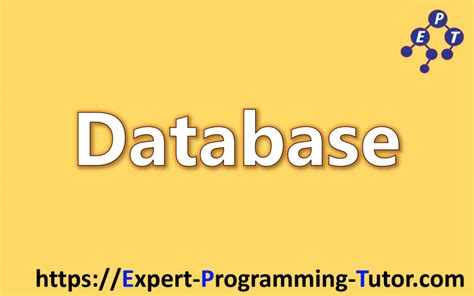 Expert Programming Tutor Online Learning