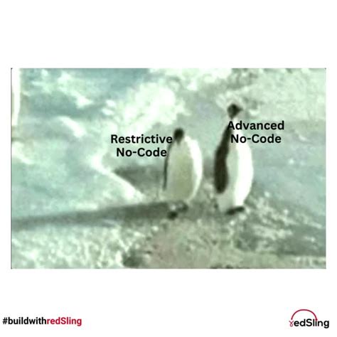 Redsling On Linkedin Buildwithredsling Nocode Appdevelopment Software Softwaredevelopment…