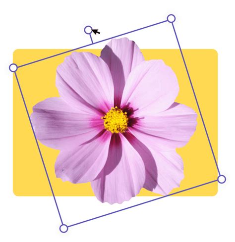 Rotate PNG Online Free PNG Rotator Tool