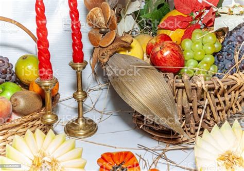 다양한 과일로 구성 사과 바나나 아보카도 멜론 파파야 키위 딸기 구아바 및 0명에 대한 스톡 사진 및 기타 이미지 0명 가을 계절 Istock