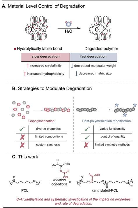 A Factors That Impact Hydrolytic Degradation B A Comparison Of