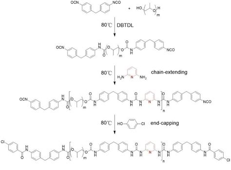 Scheme 1 Synthetic Pathway Toward The Puu Py Elastomers Download