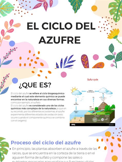 Ciclo Del Azufre Pdf Azufre Suelo