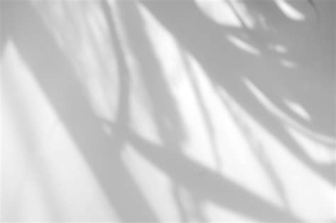 추상은 제품 프리젠 테이션 배경 및 모형에 오버레이 흰색 텍스처 배경에 자연 그림자 오버레이를 떠난다 0명에 대한 스톡 사진 및