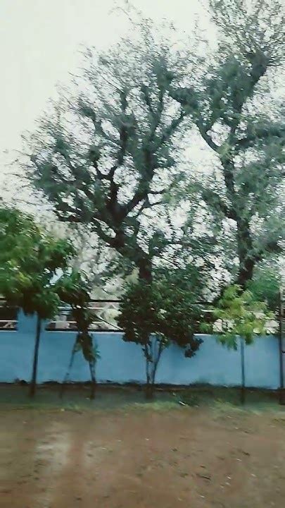 Saal Ki Phali Barsath Challenge Barsath Youtube