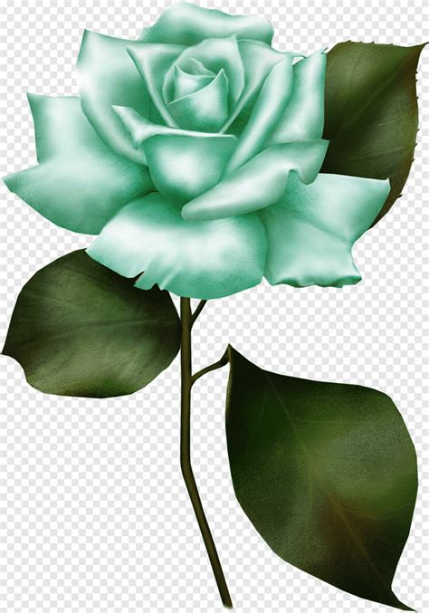 알파벳 장미 꽃 편지 장미 잎 색깔 Png Pngegg