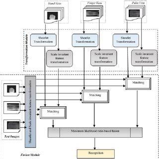 PDF Hand Vein Based Multimodal Biometric Recognition