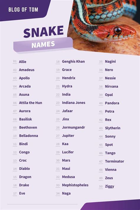 Name Ideas For A Snake at Timothy Clifton blog