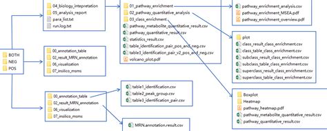 GitHub ZhuMetLab MetDNA2 Knowledge Guided Multilayer Network Approach Is Executed In MetDNA2