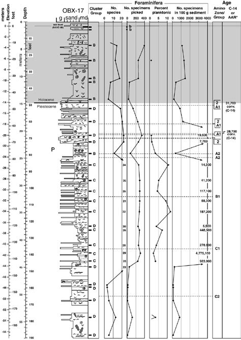 Lithologic Log Of Core Obx 17 Indicating Sample Depths Number Of
