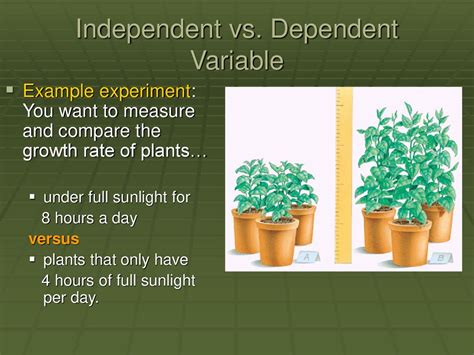 Experiment Terms Ppt Download
