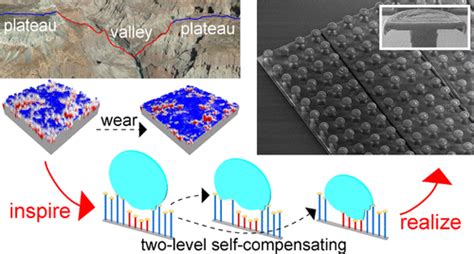 Acs Applied Materials And Interfaces Vol 12 No 3 Acs Publications