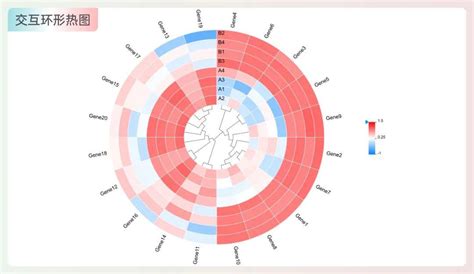 6款独具特色的热图图表，让你的数据分析大放异彩 知乎