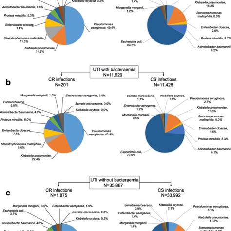 Distribution Of Baseline Pathogens In Hospitalised Patients With Download Scientific Diagram