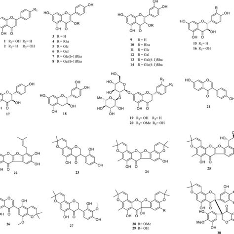 The Structures Of Triterpenoids And Steroids From Tadehagi Triquetrum