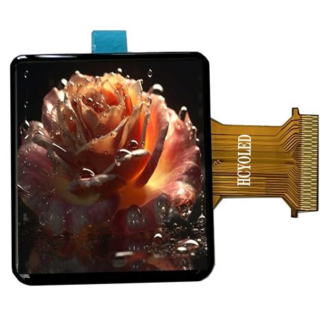 Pantalla OLED de pulgadas con TP en celda y alta resolución RGB X para