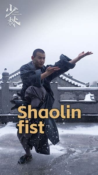 Shaolin Kung Fu Unveils Timeless Power in Modern Era - Khabar Asia