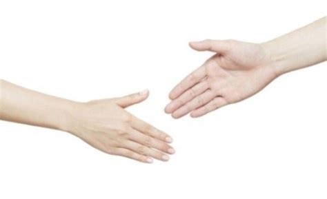 만나서 정말 반갑습니다 악수한번 하시죠 유머 움짤 이슈 에펨코리아