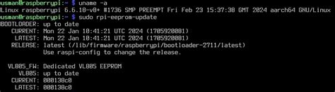 How To Safely Upgrade Your Raspberry Pi Firmware And When RaspberryTips